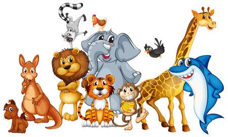 Le développement des animaux – mespetitesrevues.com