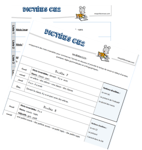 Une année de dictées en CE2 – mespetitesrevues.com